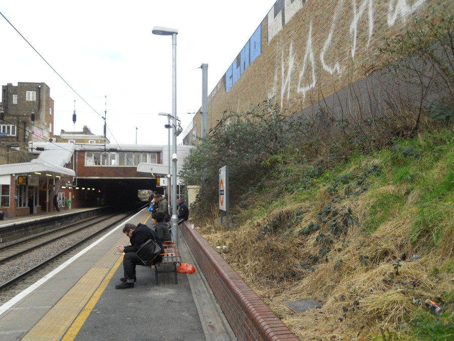 The Hanging Gardens of Dalston « The Anonymous Widower