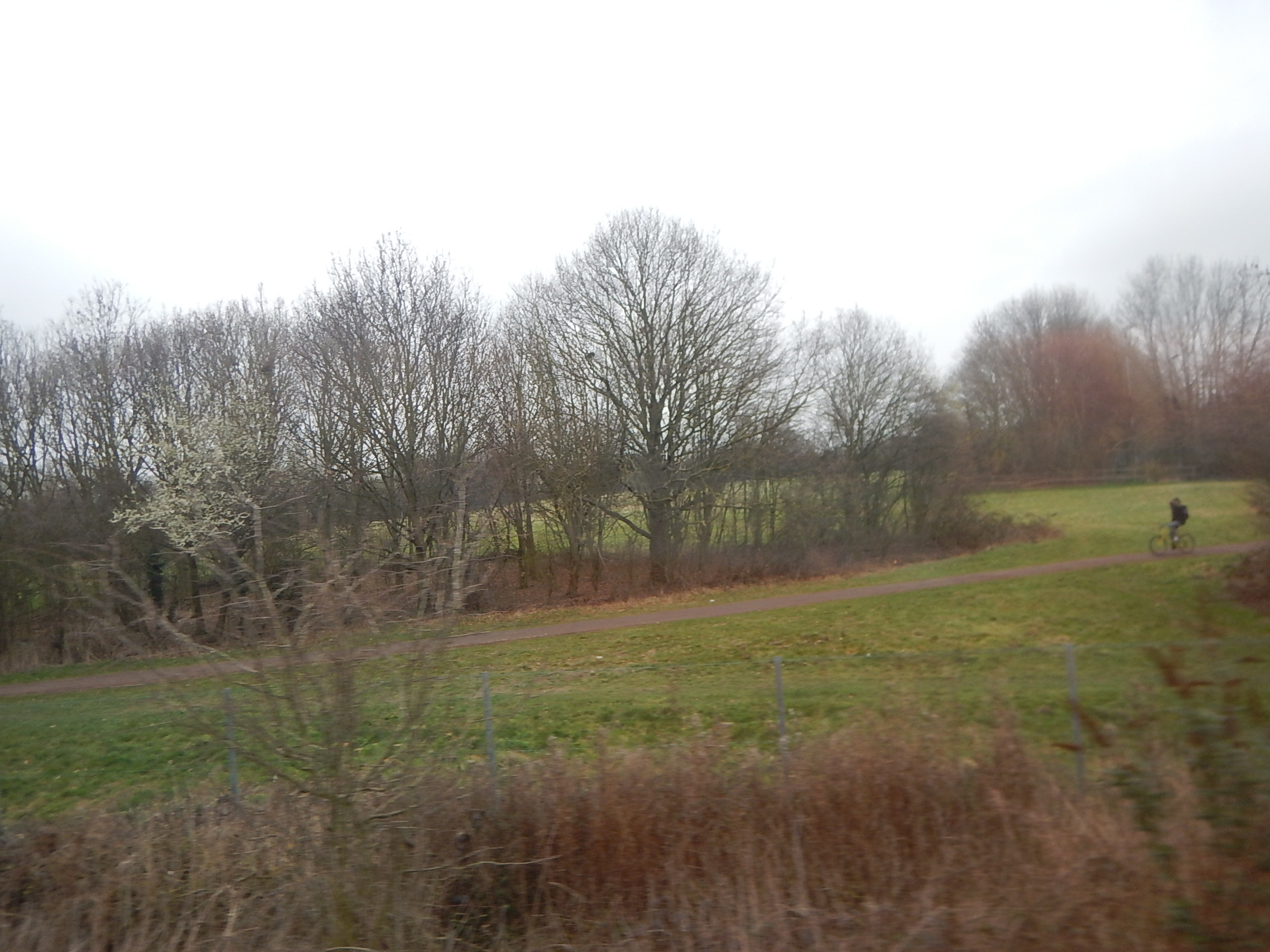 Roaming Around East Anglia – Coldhams Common « The Anonymous Widower